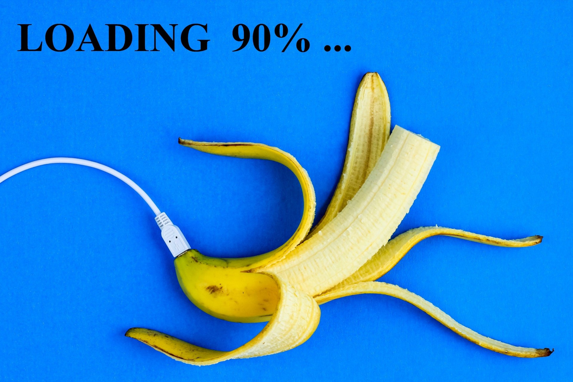 What a wonderful welcome! - Talbot Heath