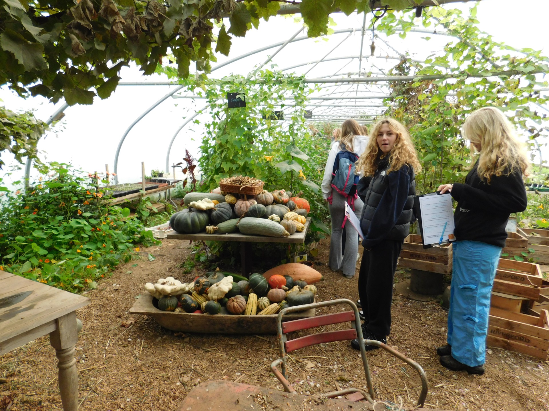 Devon: A-Level Geography Fieldwork - Talbot Heath